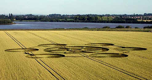 Howdendyke, nr Howden, Yorkshire. England 9th July. 2003